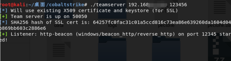 Cobalt Strike基本使用_cobalt strike teamserver.bat内容-CSDN博客