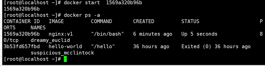 Docker基础命令_docker load -i指定镜像名和tag-CSDN博客
