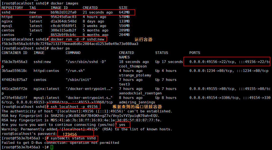 Docker镜像的分层和镜像的创建（Dockerfile）_镜像中添加新的一层-CSDN博客