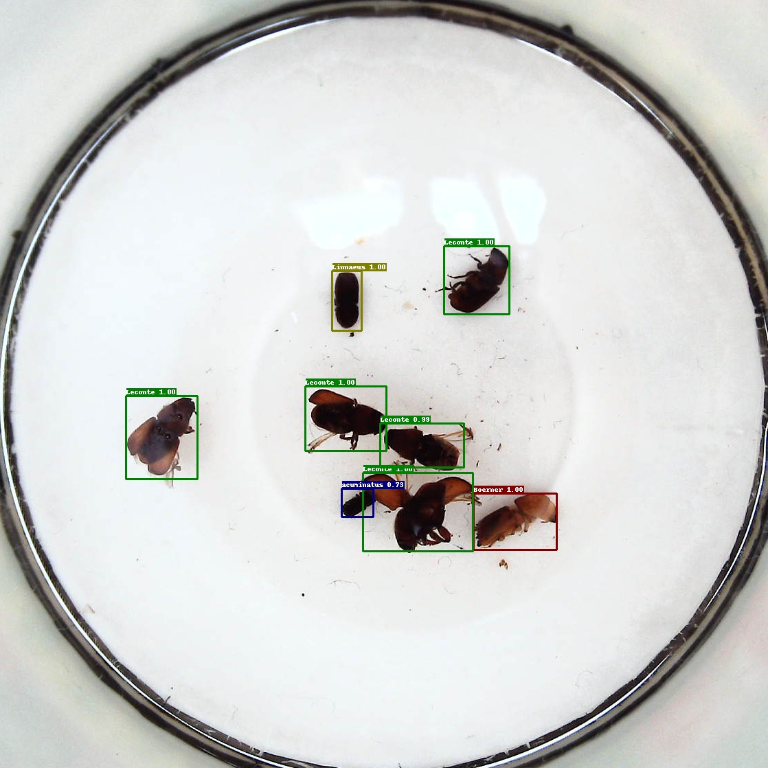 PaddleDetection使用教程_paddledetection 如何输出异步命令-CSDN博客