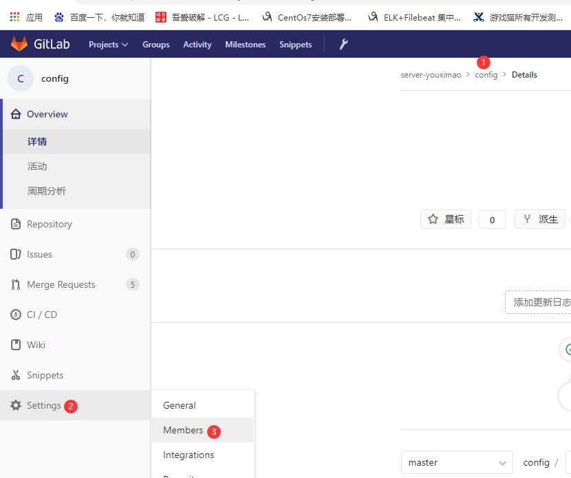 gitlab缺少权限（给开发或者master或者其他权限）_gitlab settings 没有member-CSDN博客