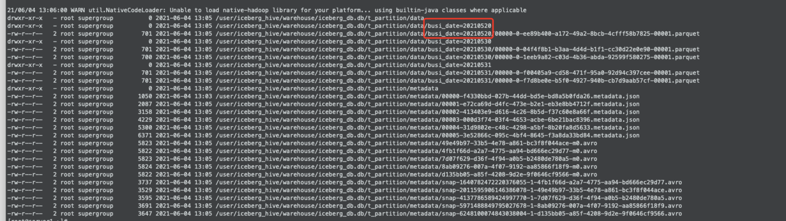 Flink+Iceberg环境搭建爬坑指南_iceberg flink-sql-connector-CSDN博客