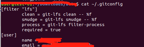git 遇到clone成功检出失败(ubuntu系统)_ubuntu torchsparse clone succeeded, but checkout f-CSDN博客