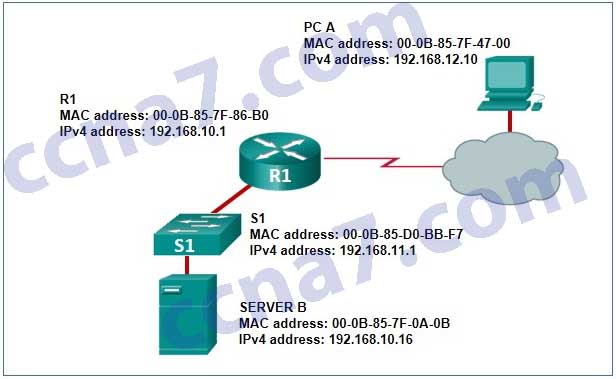思科网院 Routing and Switching Essentials ( 版本 6.00) - RSE 6.0 第 1 章考试答案_rcna-routing and switching ...