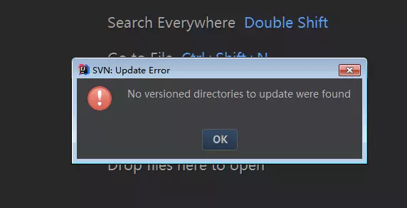 idea No versioned directories to update were found-CSDN博客