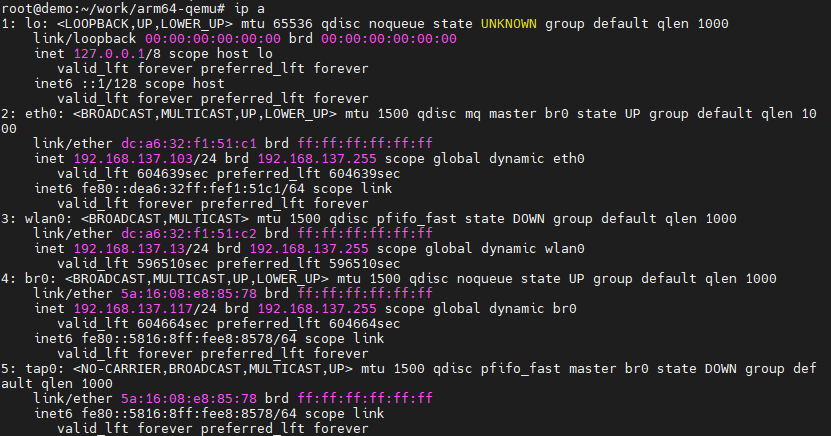 qemu使用tap网卡连接网络_qemu tap-CSDN博客