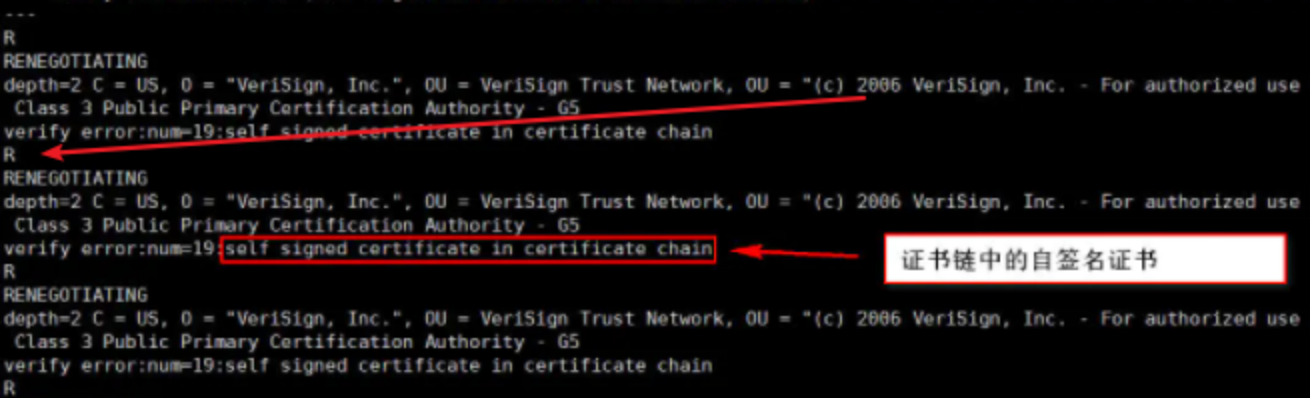 服务器支持 TLS Client-initiated 重协商攻击(CVE-2011-1473复现验证)_服务器支持 tls client-initiated 重协商攻击(cve-2011 ...