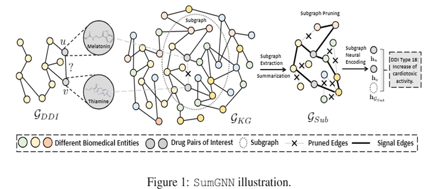 论文解读：SumGNN: Multi-typed Drug Interaction Prediction via Efficient Knowledge Graph Summarization ...