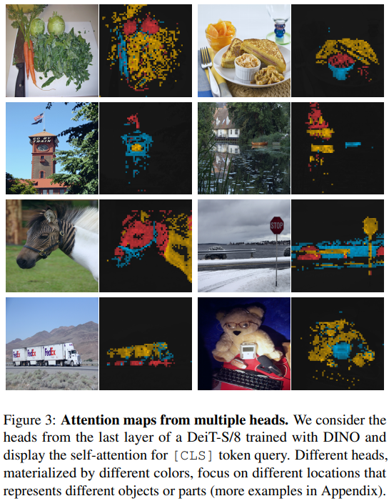 Emerging Properties in Self-Supervised Vision Transformers(2021)-CSDN博客