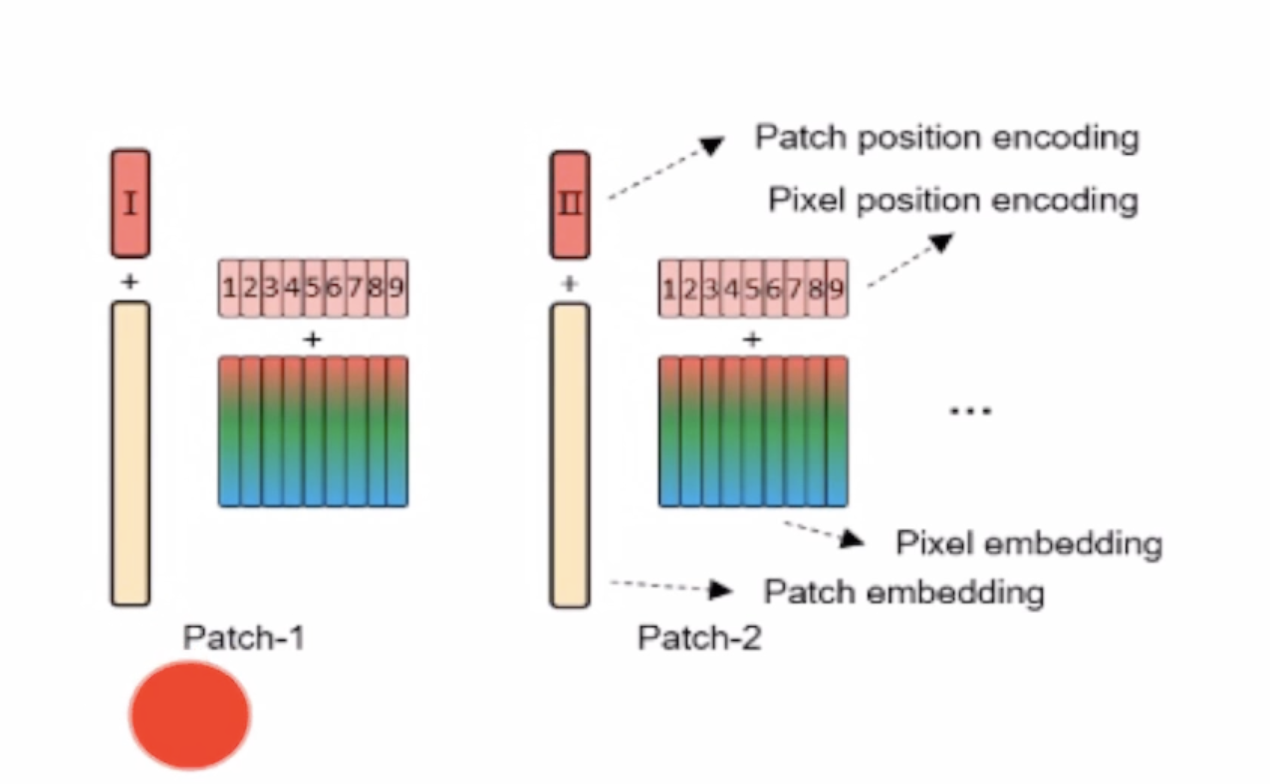 TNT : transformer in transformer_patch级别和特征级别-CSDN博客