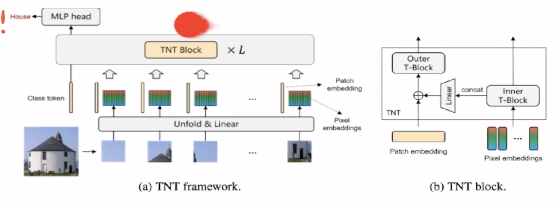 TNT : transformer in transformer_patch级别和特征级别-CSDN博客