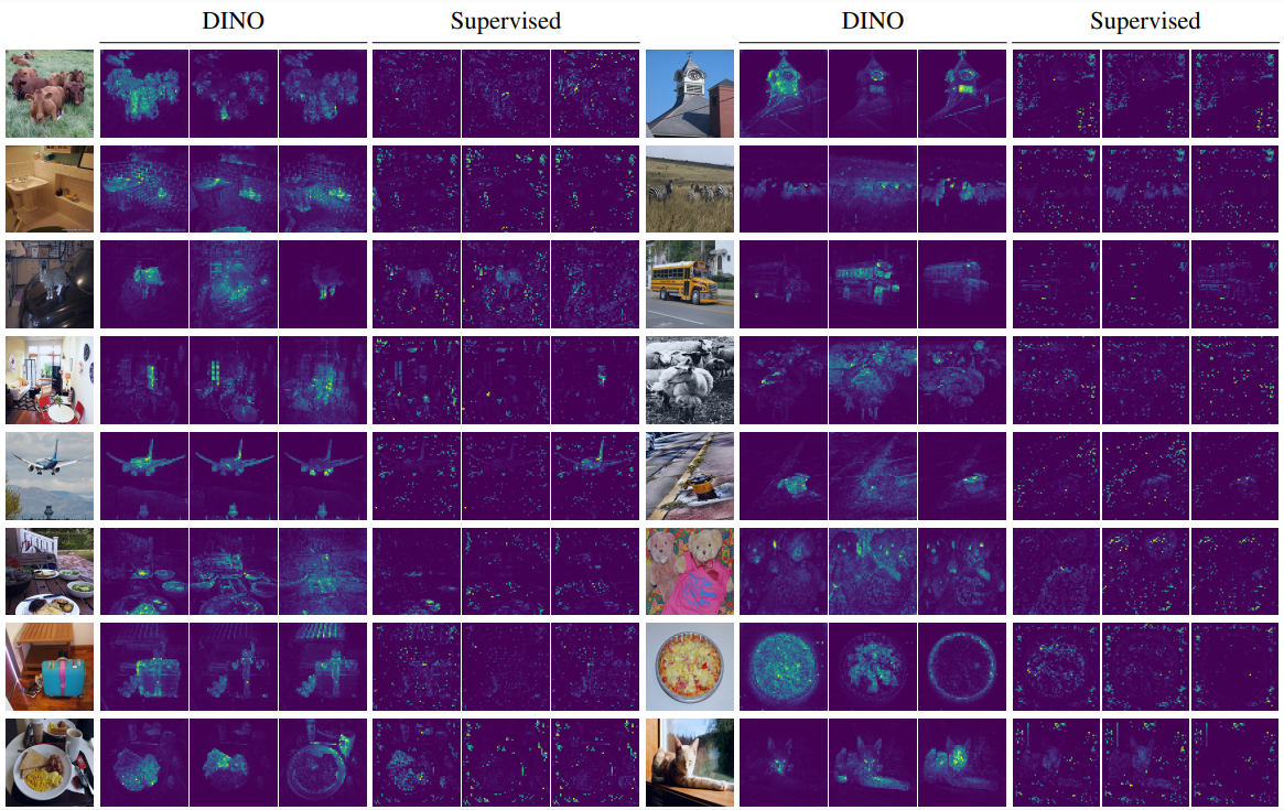 Emerging Properties in Self-Supervised Vision Transformers(2021)-CSDN博客