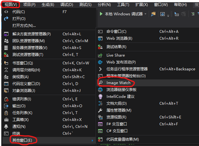 ImageWatch2019下载和安装_image watch 2019-CSDN博客