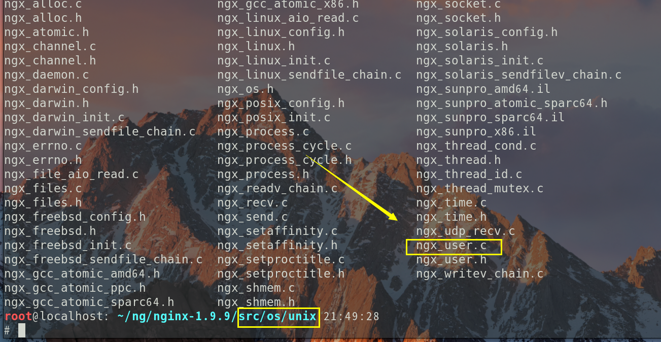 nginx的安装和配置-CSDN博客
