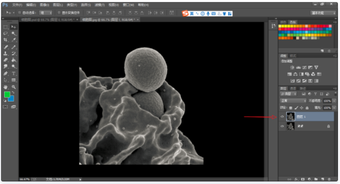 SEM: 科研图片处理_sem图片怎么处理-CSDN博客