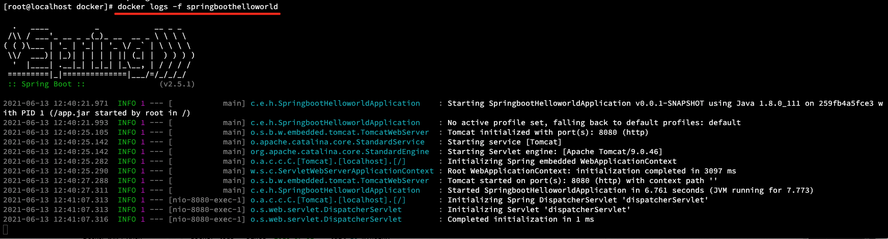 Dokcer(八)：使用Docker启动SpringBoot程序_docker 启动springboot-CSDN博客