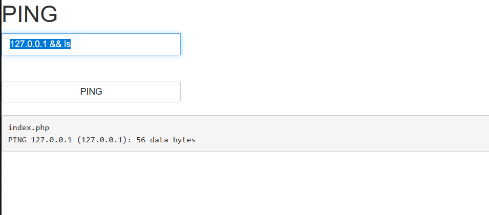 buuctf [ACTF2020 新生赛]Exec 1-CSDN博客