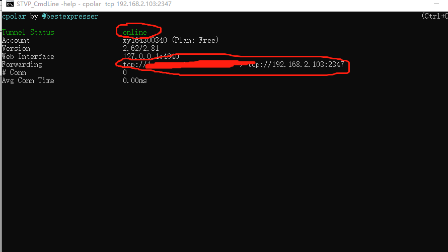 使用CPOLAR穿透内网_cpolar udp-CSDN博客