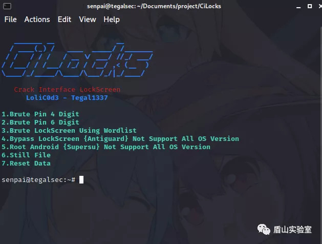 2021-06-14使用CiLocks绕过Android的锁屏功能-CSDN博客