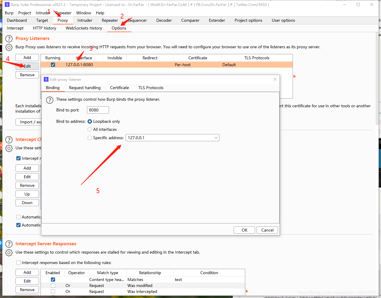 Burp Suite Professional for Mac 安装及配置教程_burpsuite mac-CSDN博客