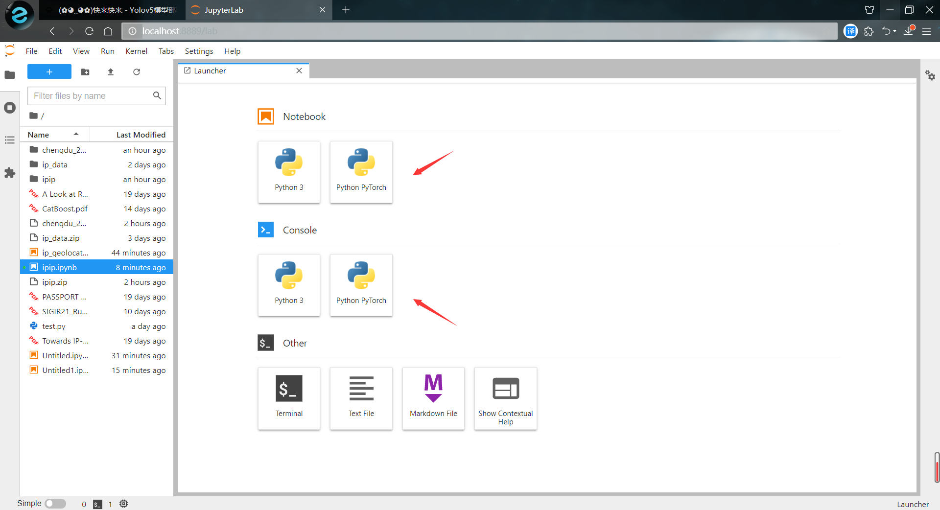 JupyterLab不能在Pytorch虚拟环境下import torch？_jupyter 修改kernel无法import torch-CSDN博客