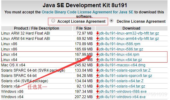 如何在Linux里面安装Java的运行环境（详细过程）_如何在linux运行java-CSDN博客