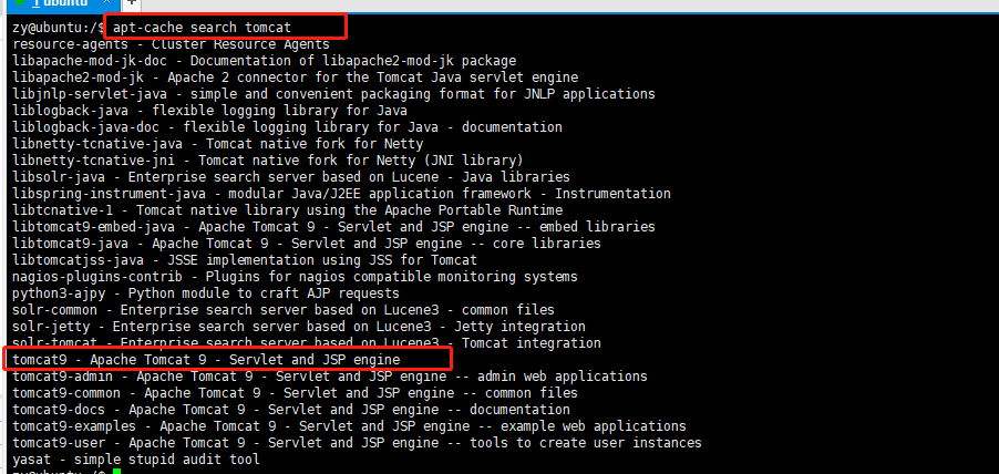 Ubuntu20.4.04.1 - Tomcat_ubuntu查看tomcat版本-CSDN博客