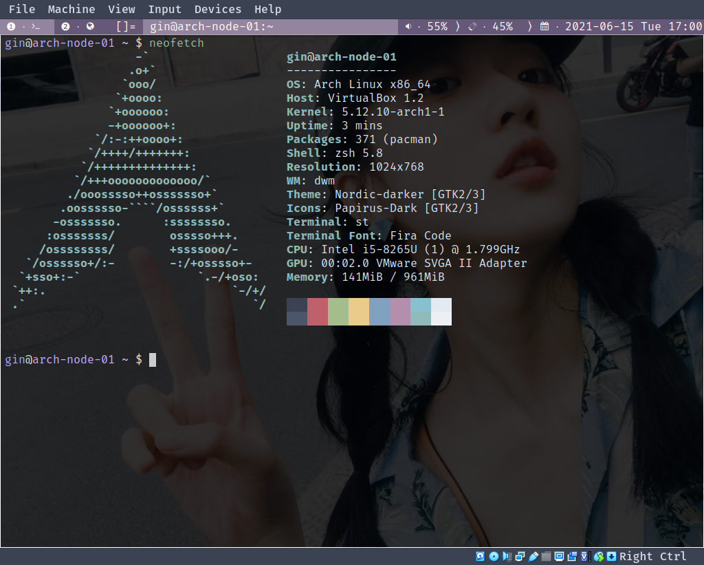 Arch Linux 美化 (st + dwm)_GIN-18的博客-CSDN博客_dwm美化