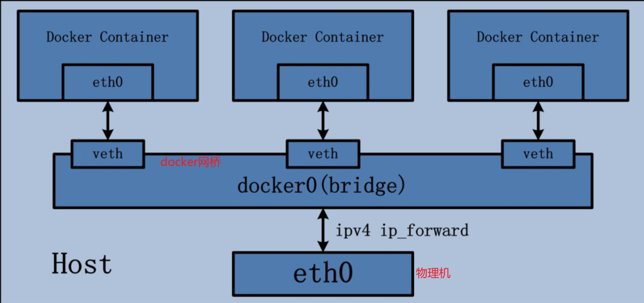 docker配置es & kibana以及docker ip解析-CSDN博客
