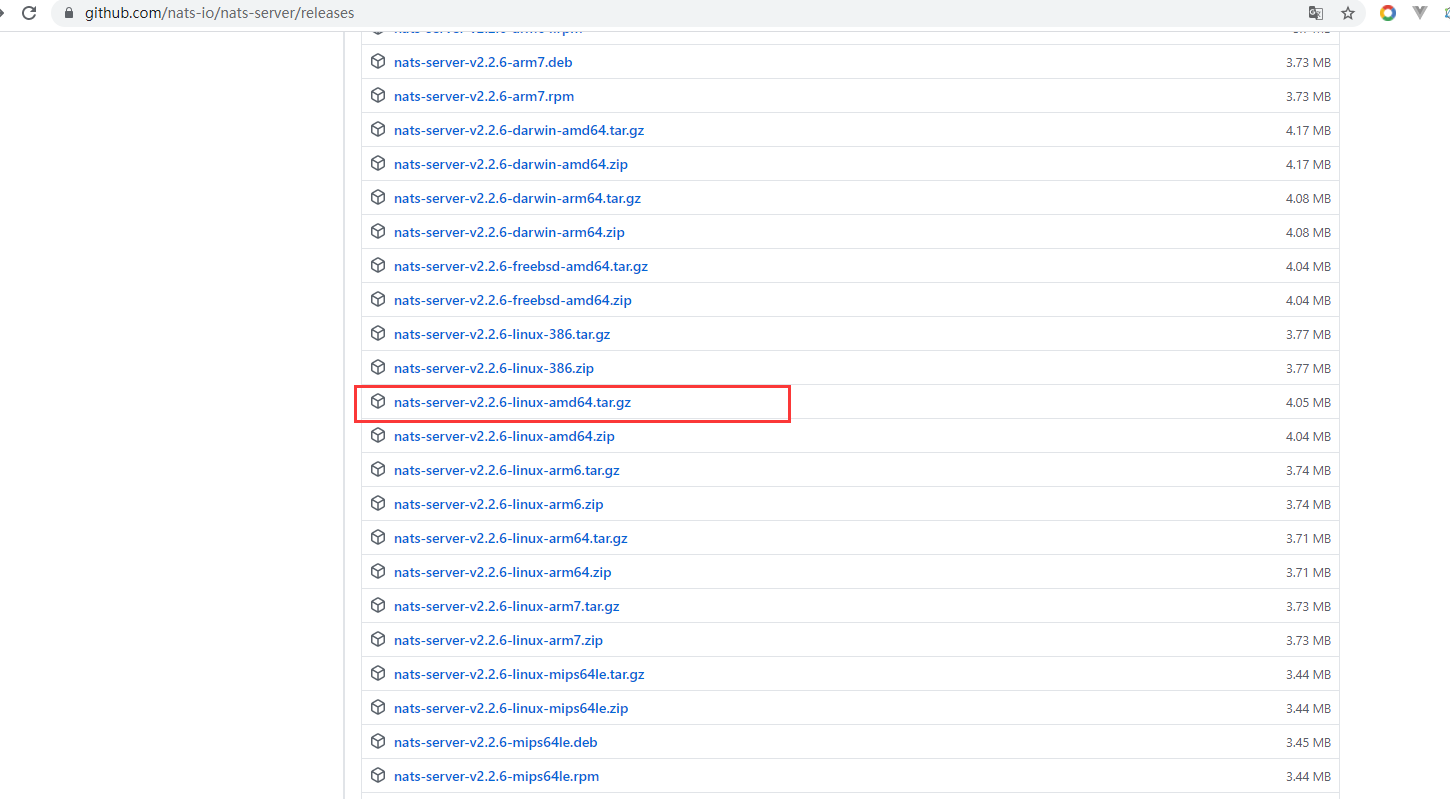 Linux 安装 Nats_linux搭建nats-CSDN博客