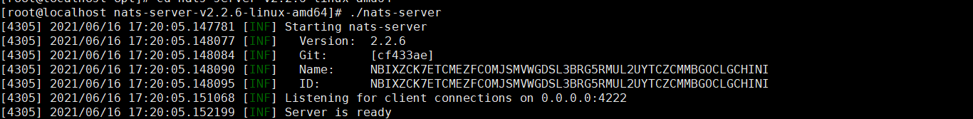 Linux 安装 Nats_linux搭建nats-CSDN博客