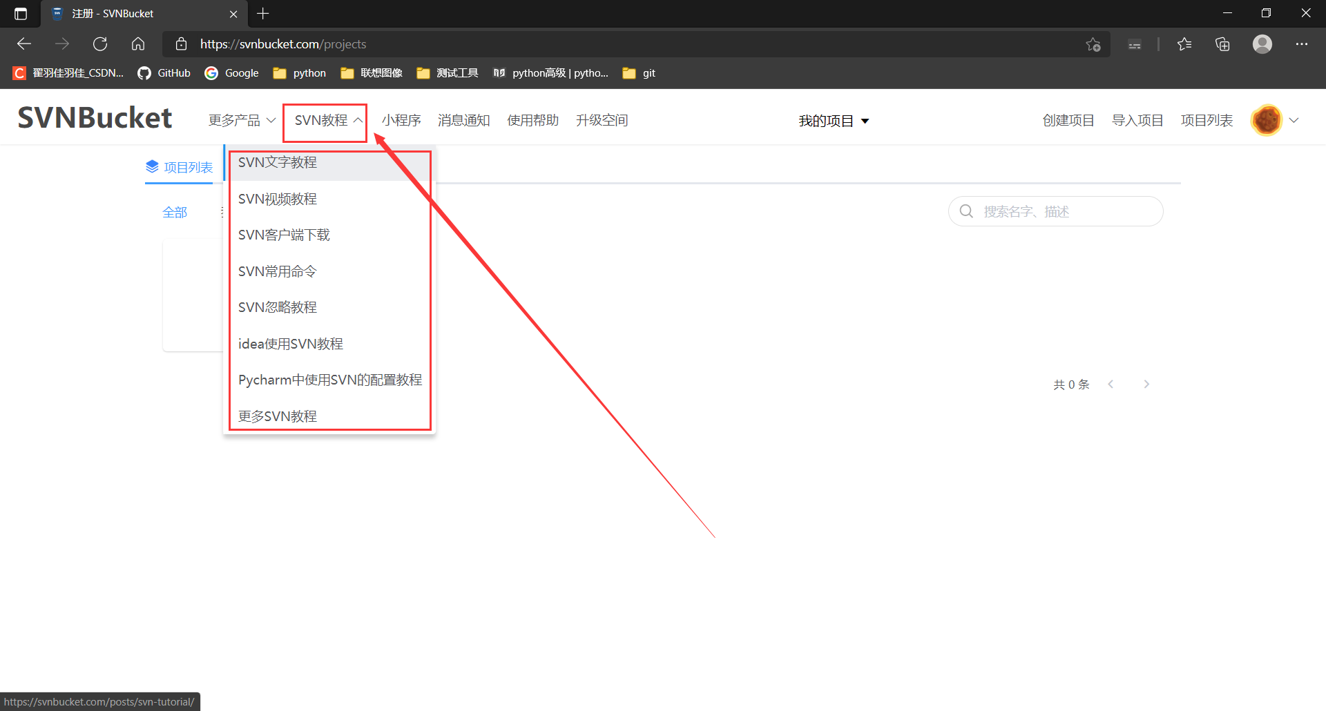 【亲测可行】SVN环境准备（服务端：SVNBucket，客户端：TortoiseSVN）_类似svnbucket的服务器-CSDN博客