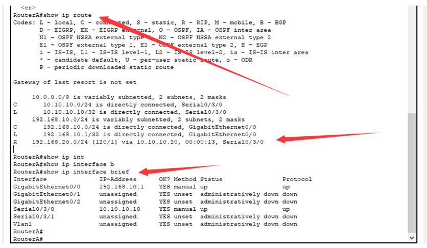 思科模拟器实现一个简单网络互通+(Dhcp+web+dns+ftp）综合实验_思科模拟器对端网络_ZLQiang_csdn的博客-CSDN博客