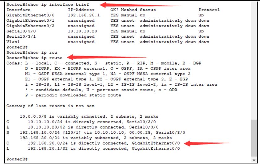 思科模拟器实现一个简单网络互通+(Dhcp+web+dns+ftp）综合实验_思科模拟器对端网络_ZLQiang_csdn的博客-CSDN博客