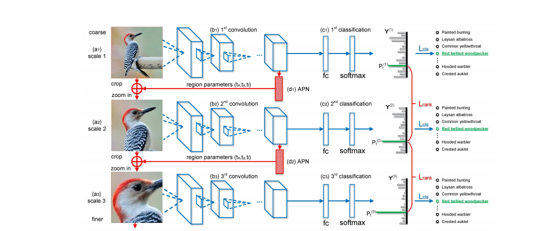 论文笔记- [CVPR 2017] Look Closer to See Better：RA-CNN_look closer to see better: recurrent ...
