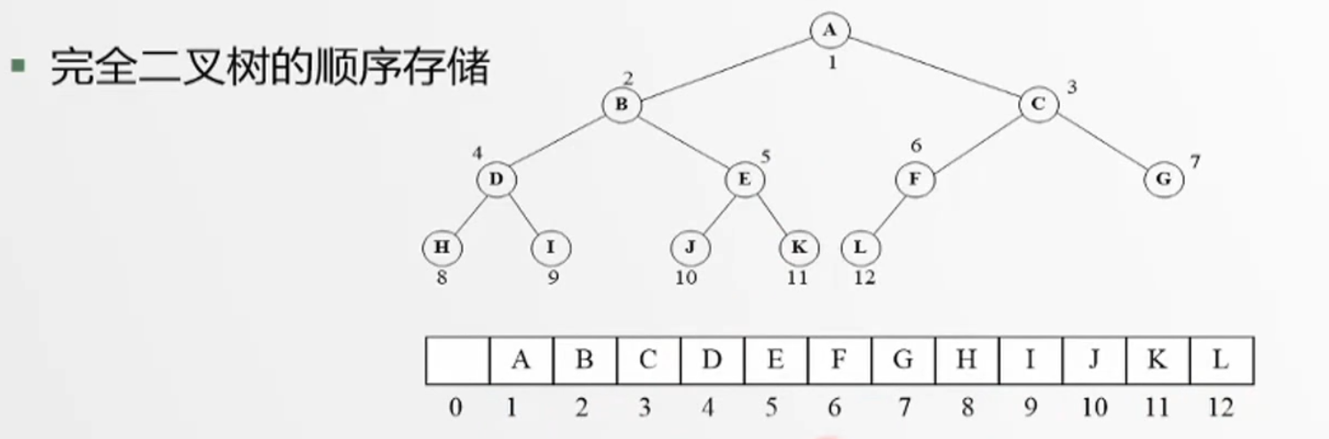 C数据结构——二叉树c二叉树的顺序结构存储 Csdn博客 