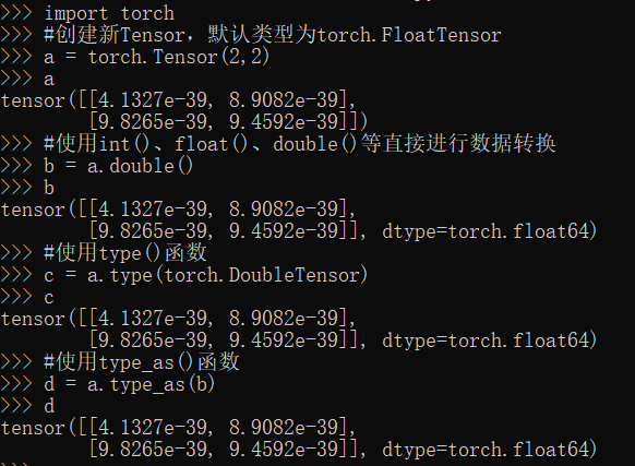PyTorch基础：Tensor数据类型与类型转换_pytorch2.1 如何设置默认tensor计算为double类型-CSDN博客