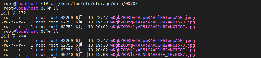 Linux安装FastDFS单机版与FastDFS集群搭建（超级详细）_fdfs tracker不配置集群会怎么样-CSDN博客