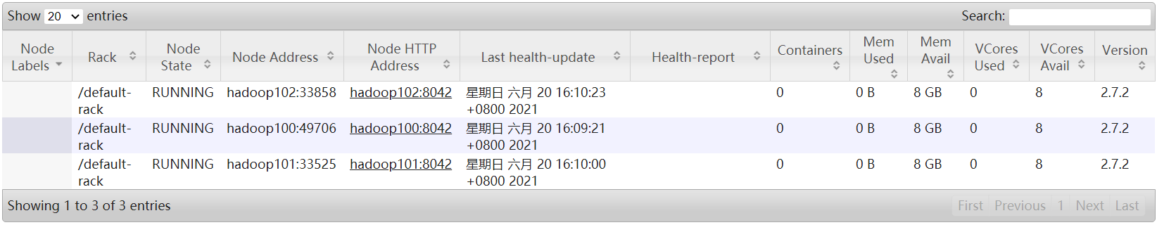 YARN UI界面日志详解一_max application master resources per user-CSDN博客