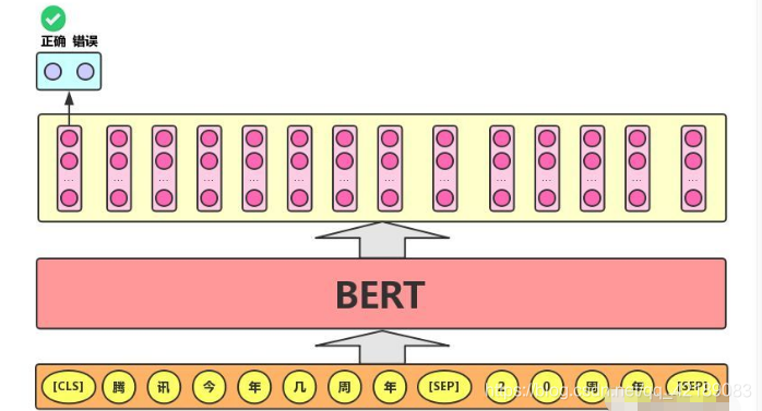 bert中的cls和sep等等_cls sep-CSDN博客