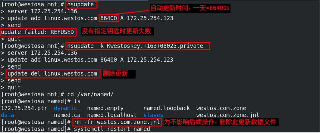 企业dns服务器的搭建（dns安装与启用、dns的正向解析、反向解析、双向解析、dns集群、dhcp+dns）_企业dns 渐进式dns-CSDN博客