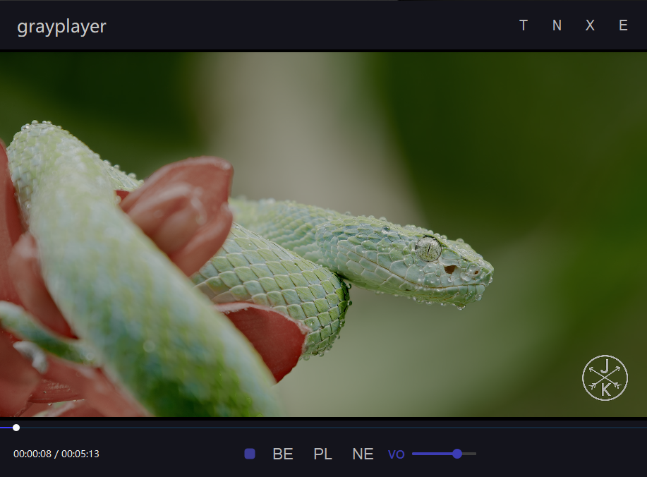 个人用 Qt + ffmpeg + D3D9/D3D11 开发的播放器_qt5窗口显示d3d11_dragonliulong_coder的博客-CSDN博客