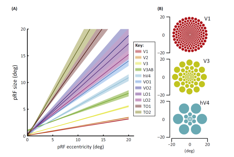 【目标检测】Receptive Field Block Net for Accurate and Fast Object Detection论文理解-CSDN博客