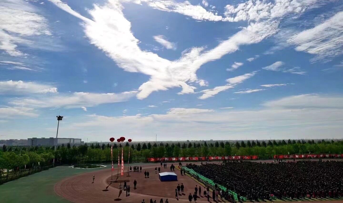 Turtle库绘图：毕业了，为自己放一场烟花吧python毕业快乐代码 Csdn博客 