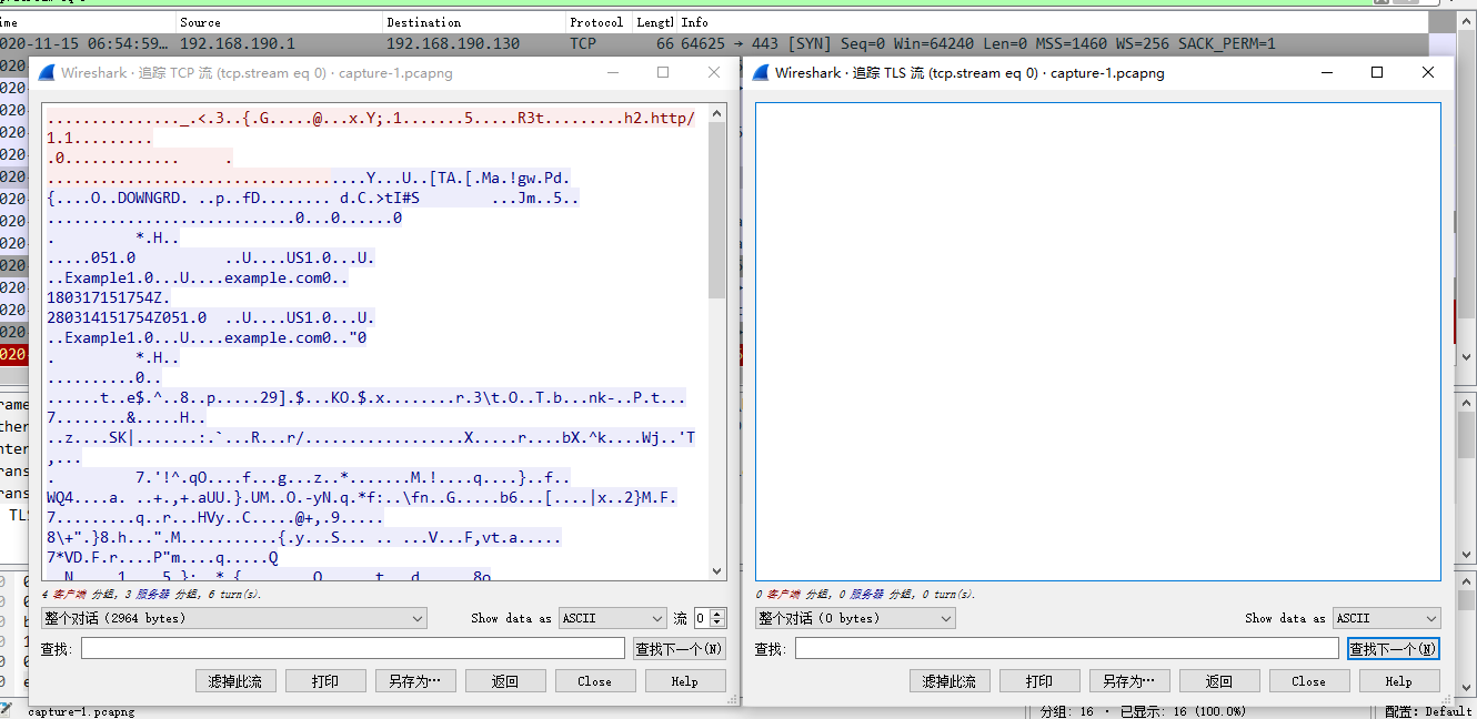 wireshark TLS流量解密（一）_wireshark 如何解析出tcp 加密数据-CSDN博客