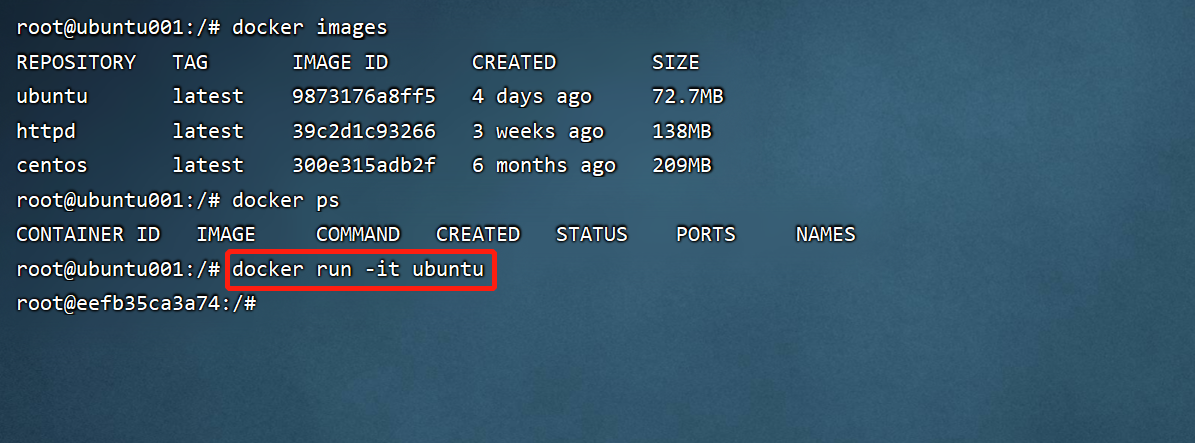 在docker容器里安装vim，提示Unable to locate package vim怎么回事？_docker unable to locate package vim-CSDN博客