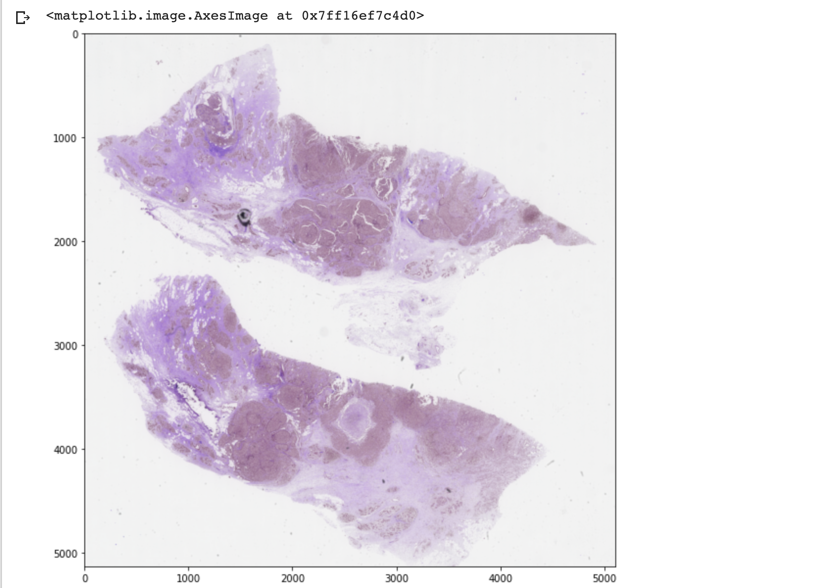 使用Colab运行github中的项目_github在线运行项目用的gpu是谁的-CSDN博客